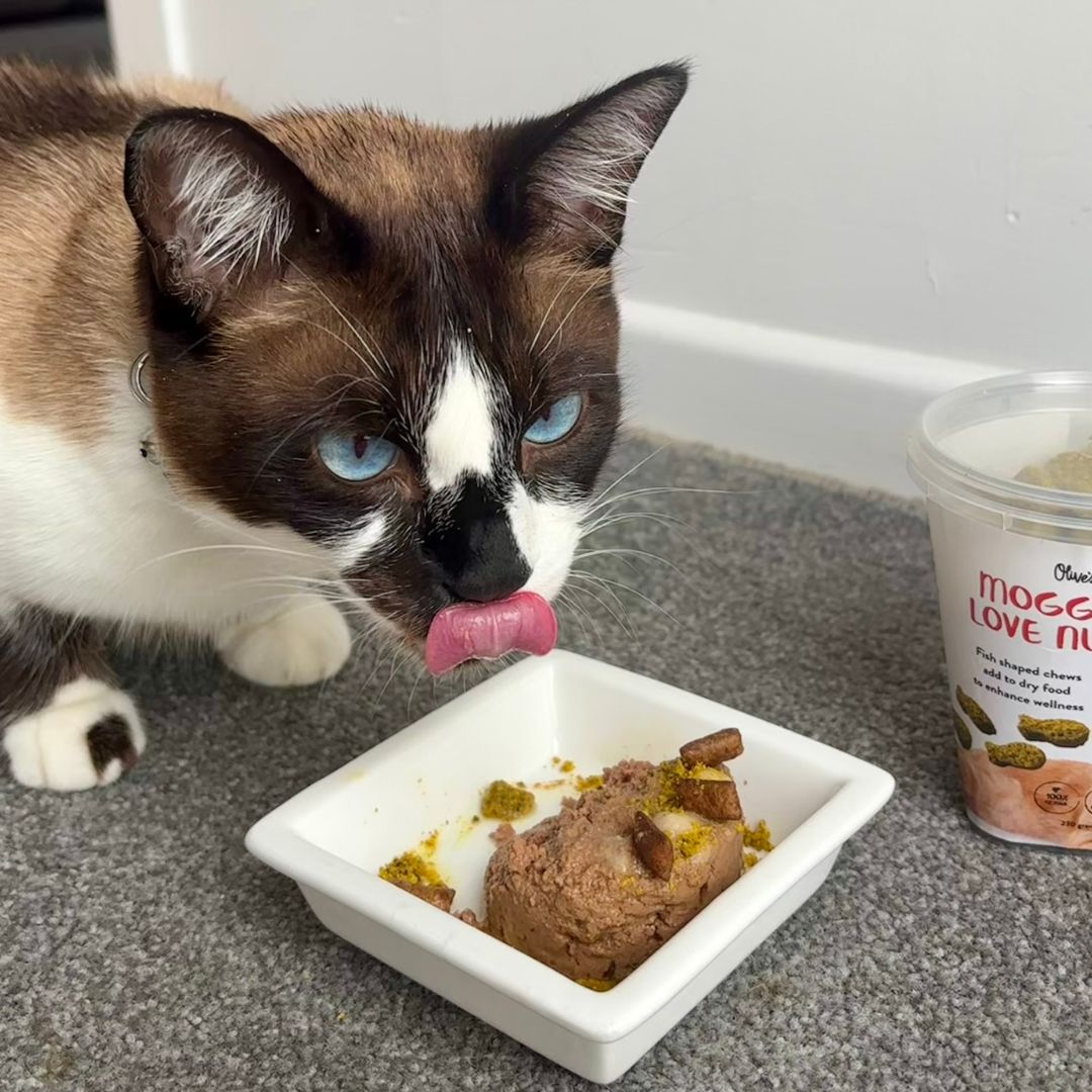 Charlie-Brown – Olive's Kitchen