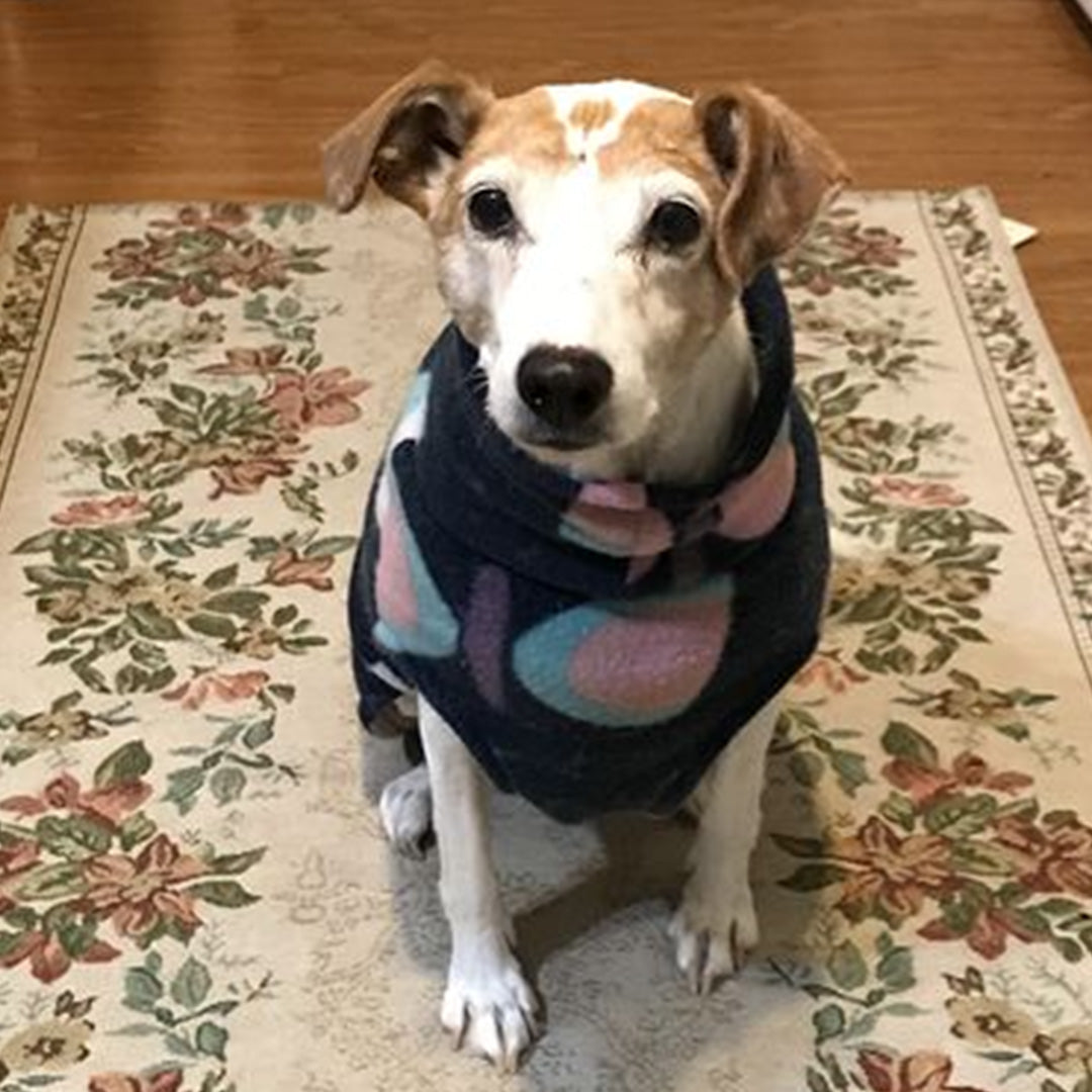 Emma loves Doggy Daily – Olive's Kitchen